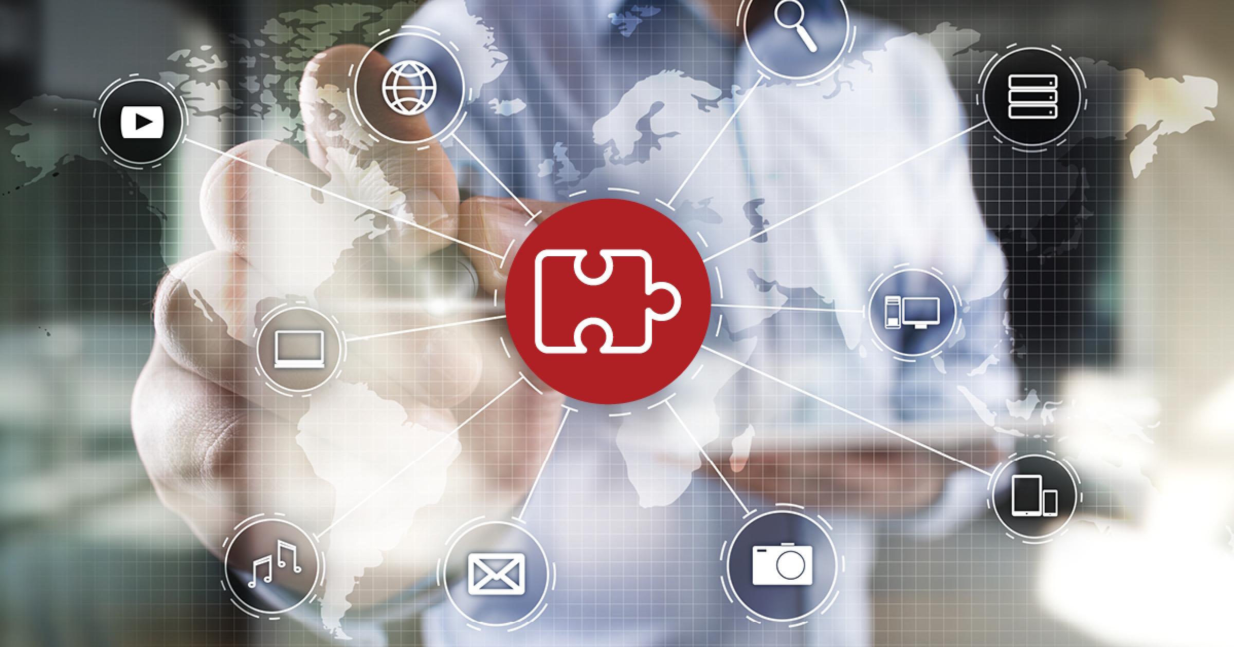 Online Programma - Director Effectiveness: Rechtsvormen en de keuze van ...