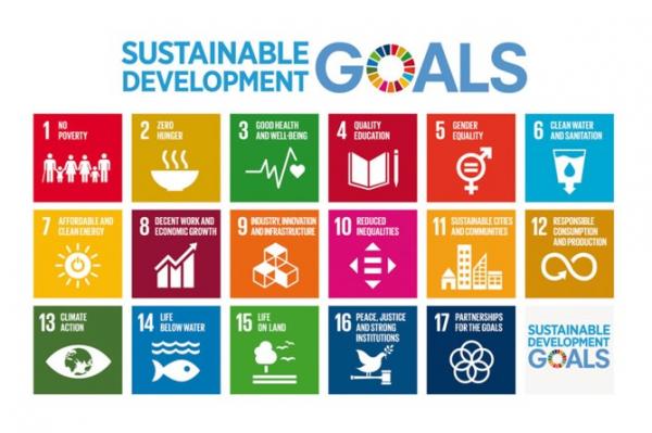 Sustainable Development Goals and Governance - Should Directors be ...